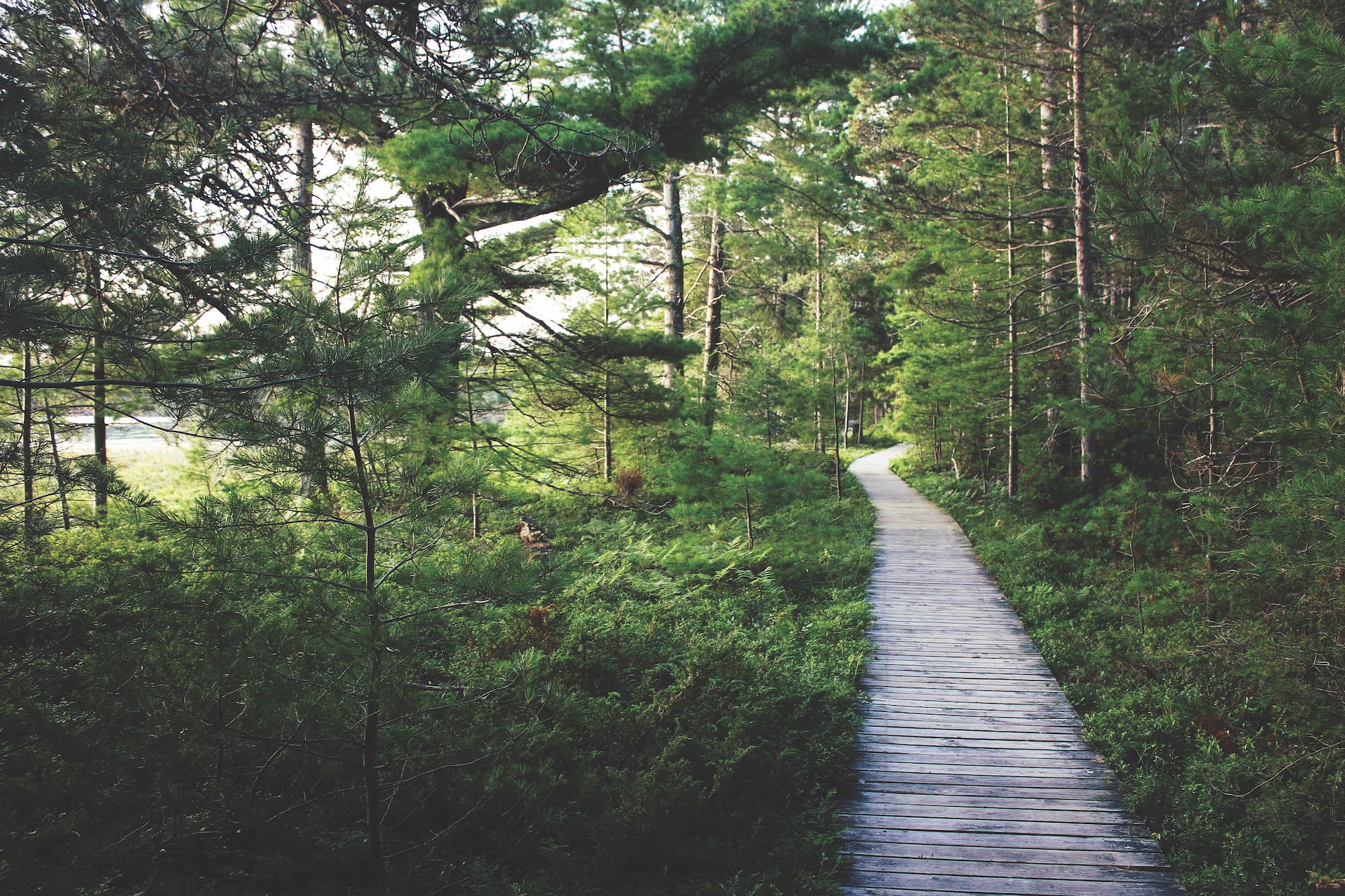 Madeline Island LaPointe | Maria Shell